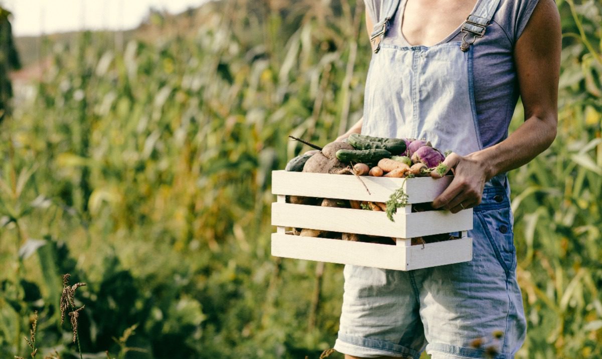 Sustainable business: a look at the greenest companies in the UK